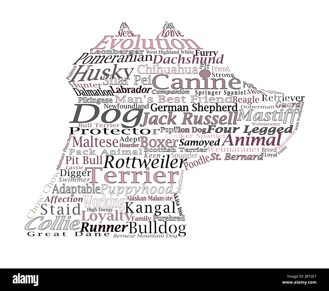 Words stacked on a white background about dogs and dog breeds Stock ...