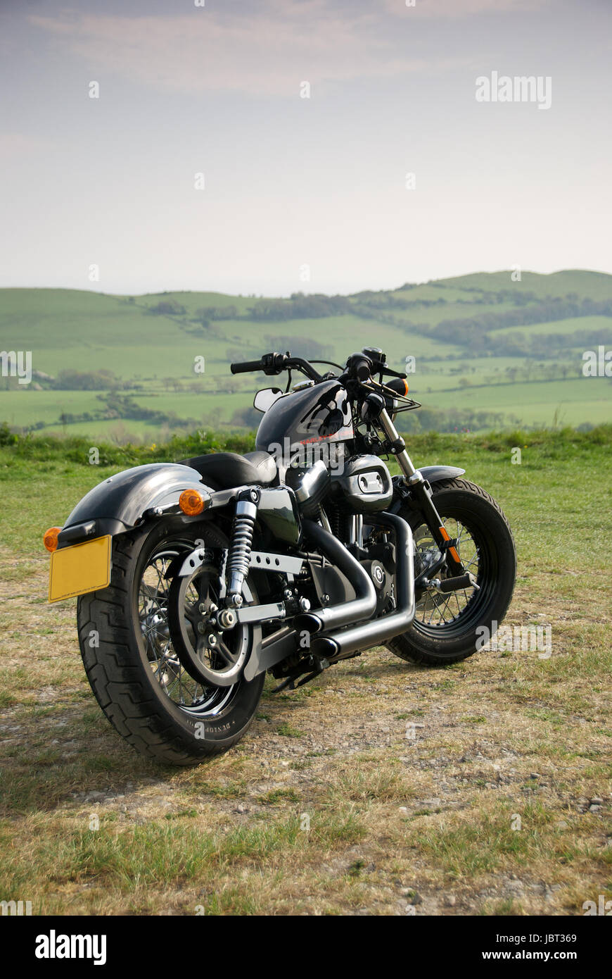Sportster Pitchers