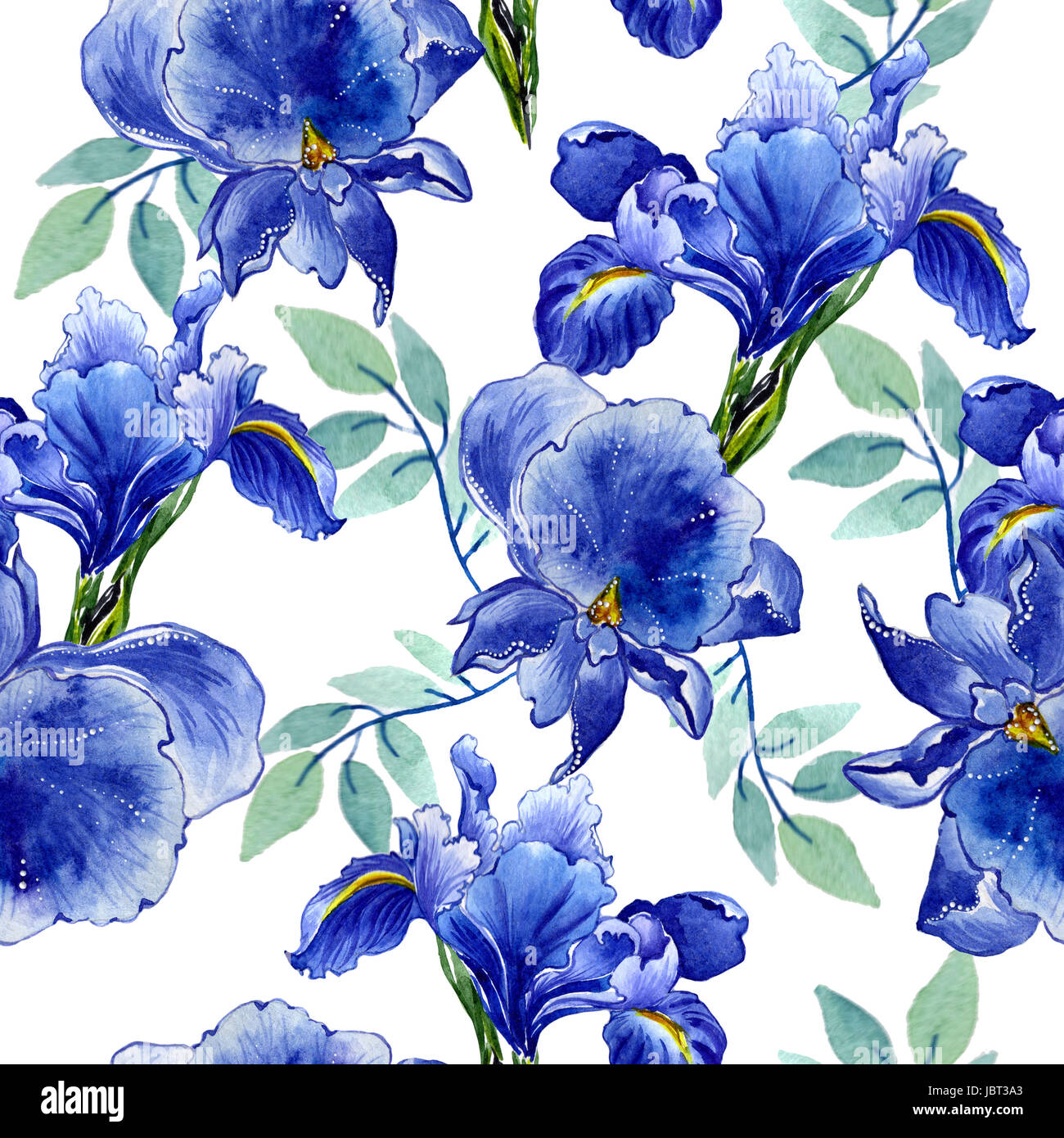 Wildflower iris flower pattern in a watercolor style isolated. Full ...
