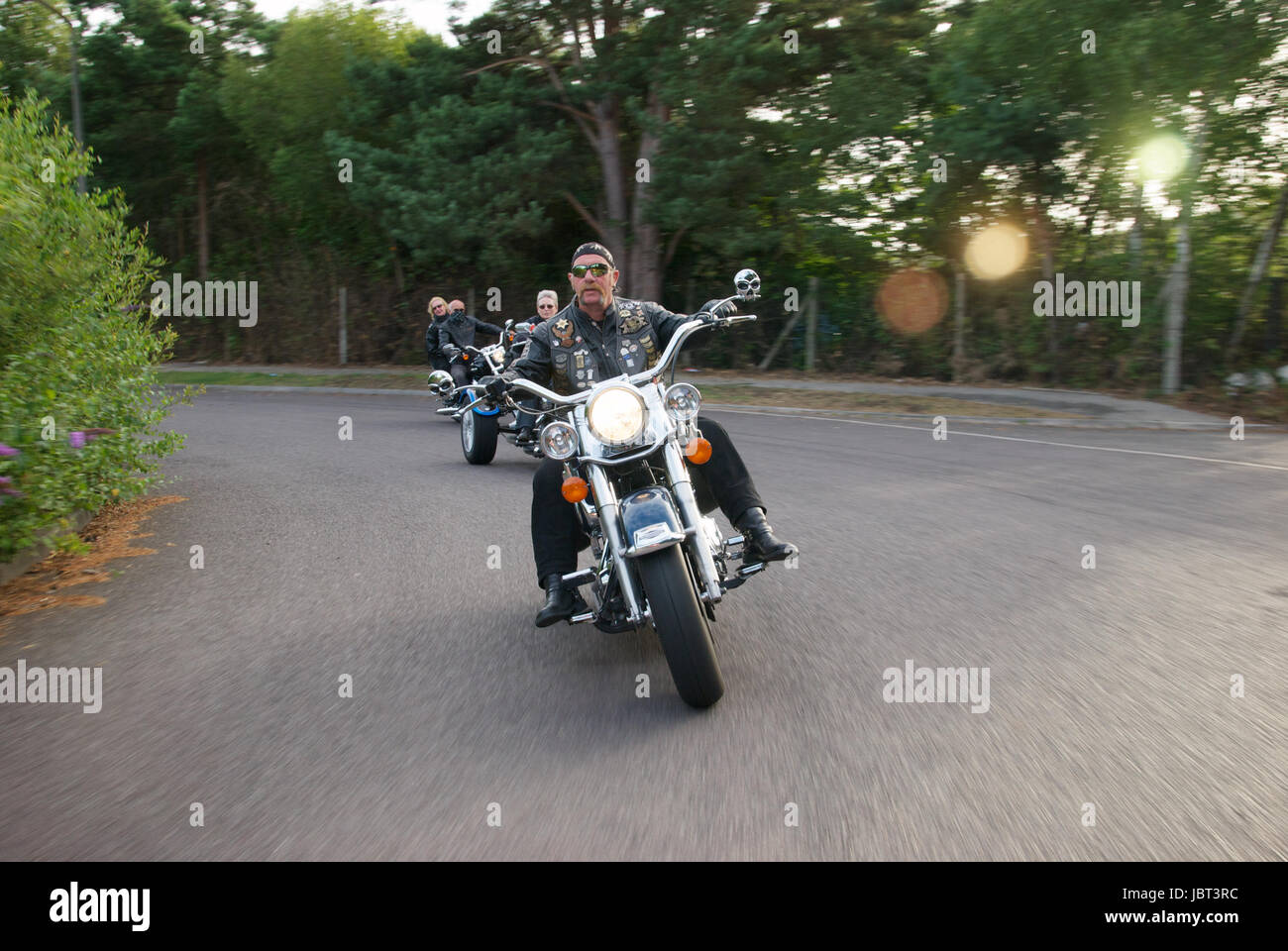 A group of Harley Davidson motorcycles and riders on the road with ...
