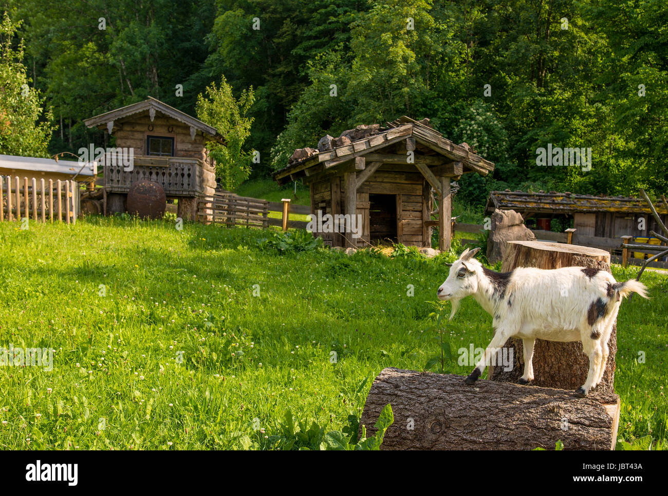Goat lodge hi-res stock photography and images - Alamy