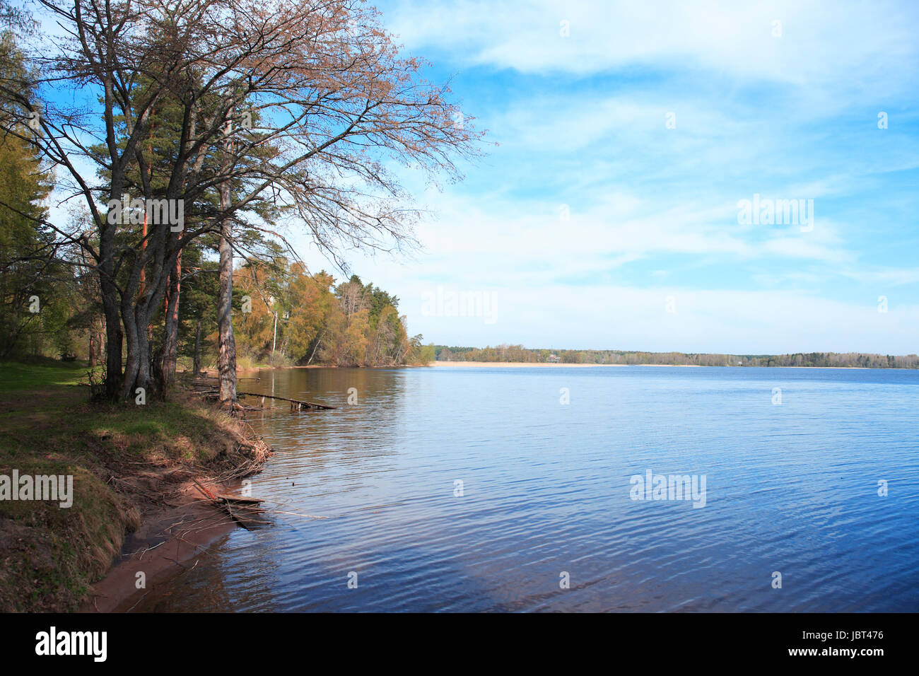 Summer landscape. Nice lakeside with trees against blue sky.Good ...