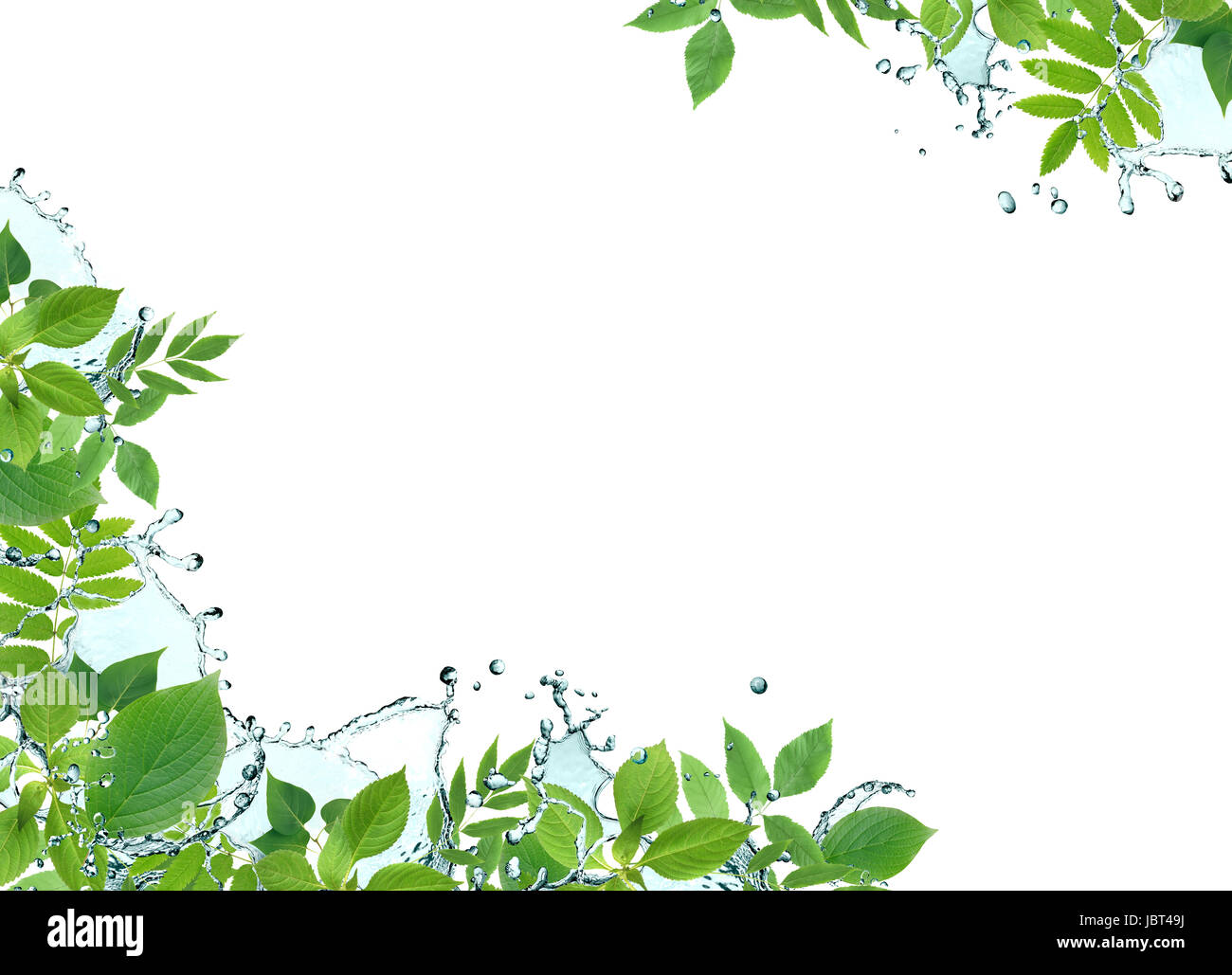 Ecology concept. Border made from green leaves and splashing water ...