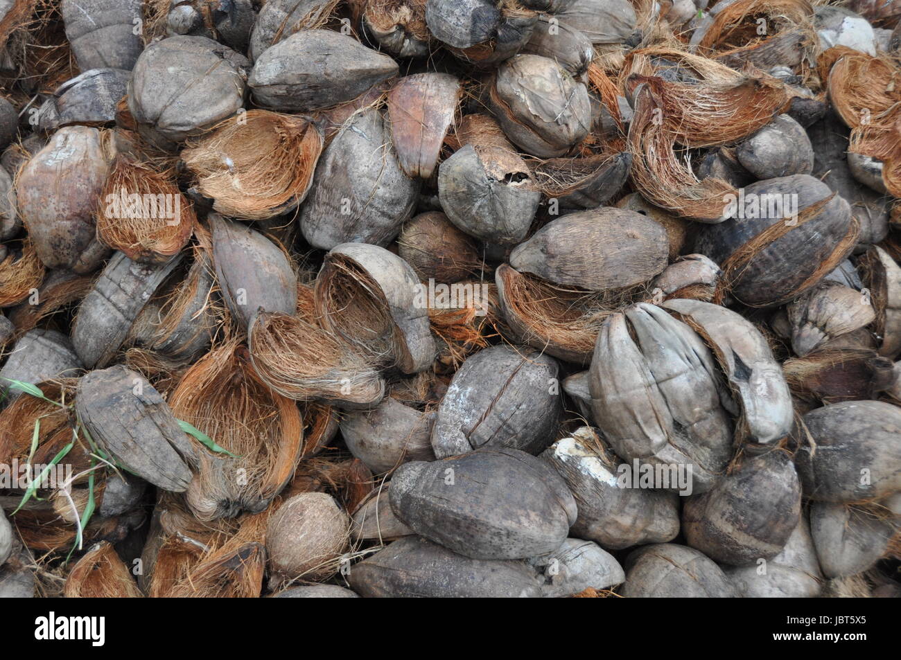 Coconut trash hi-res stock photography and images - Alamy