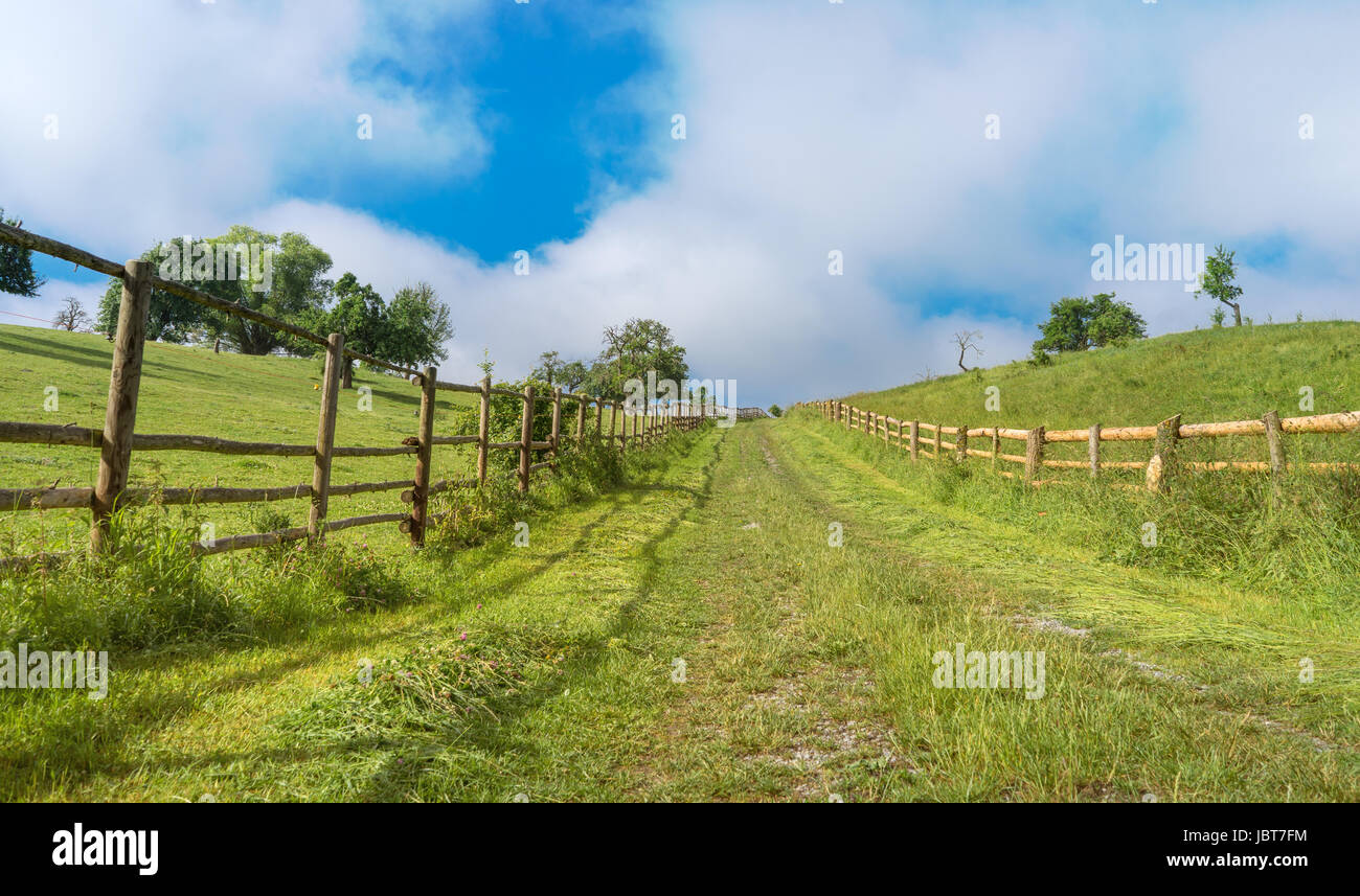 Rural german landscape hi-res stock photography and images - Alamy
