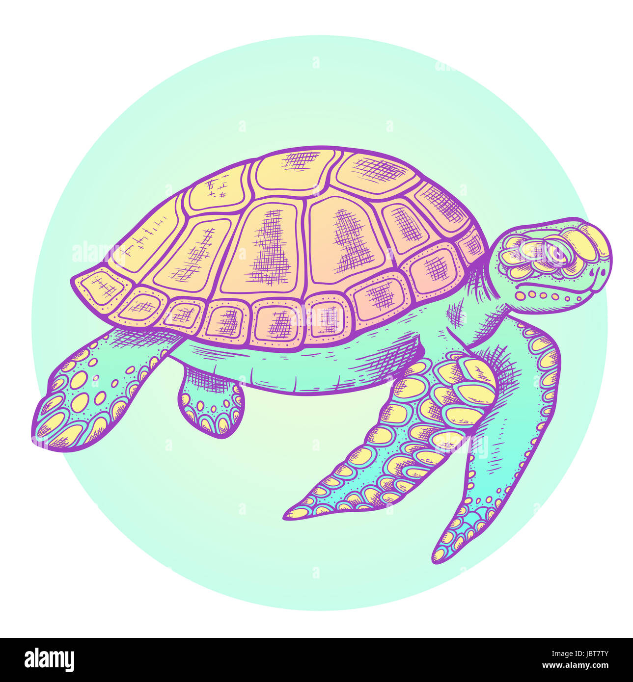 Hand drawn sea turtle Cut Out Stock Images & Pictures - Alamy