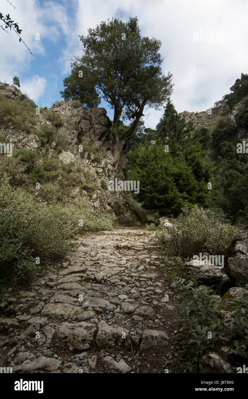 Imbros schlucht hi-res stock photography and images - Alamy