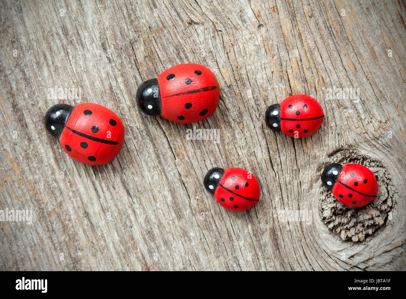 Ladybugs family on the old wooden background Stock Photo - Alamy