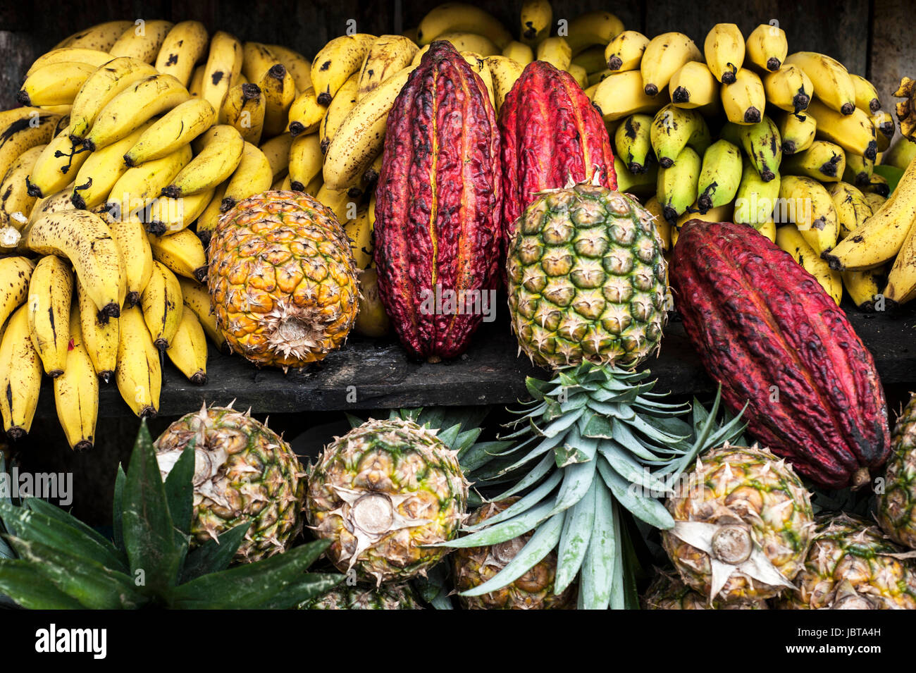 Latin American Fruits