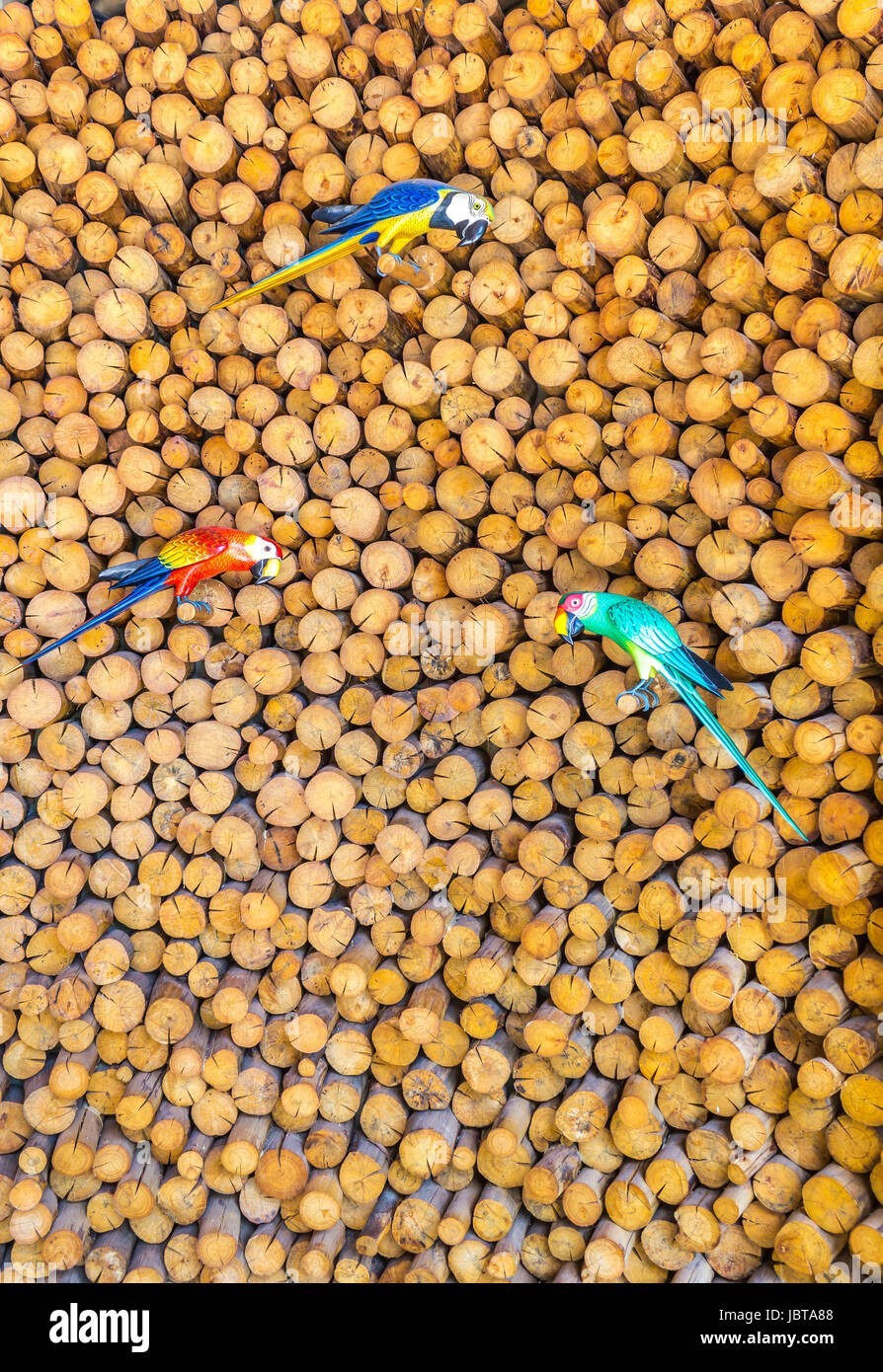 Closeup decorative wood carved parrots on log wall Stock Photo - Alamy