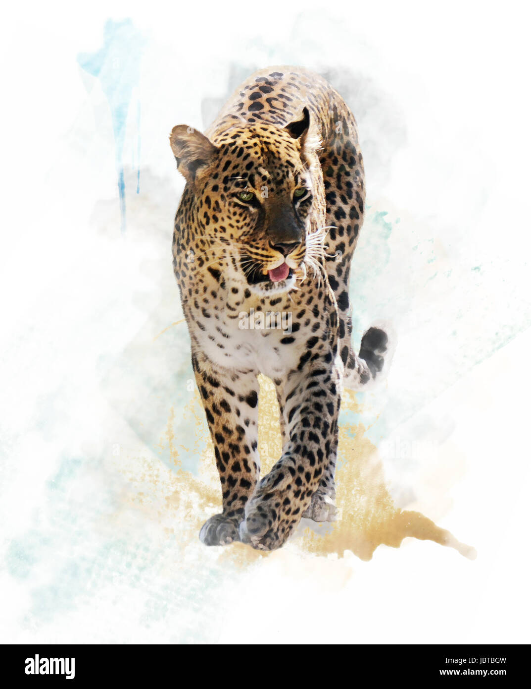 Watercolor Digital Painting Of Leopard Stock Photo - Alamy