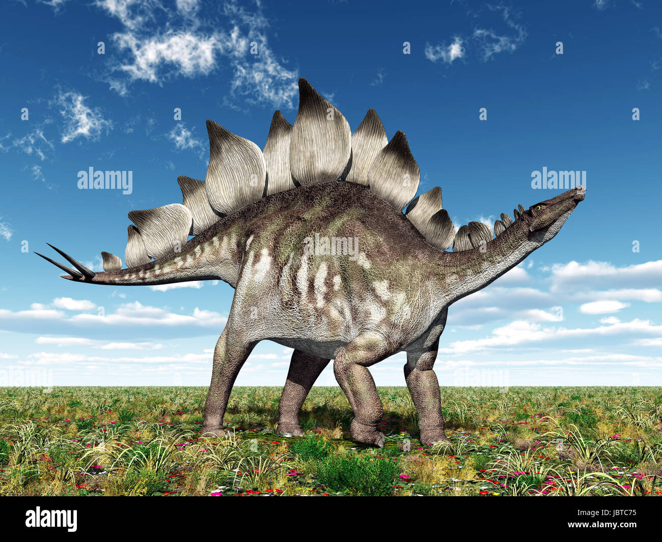 Stegosaurus hi-res stock photography and images - Alamy