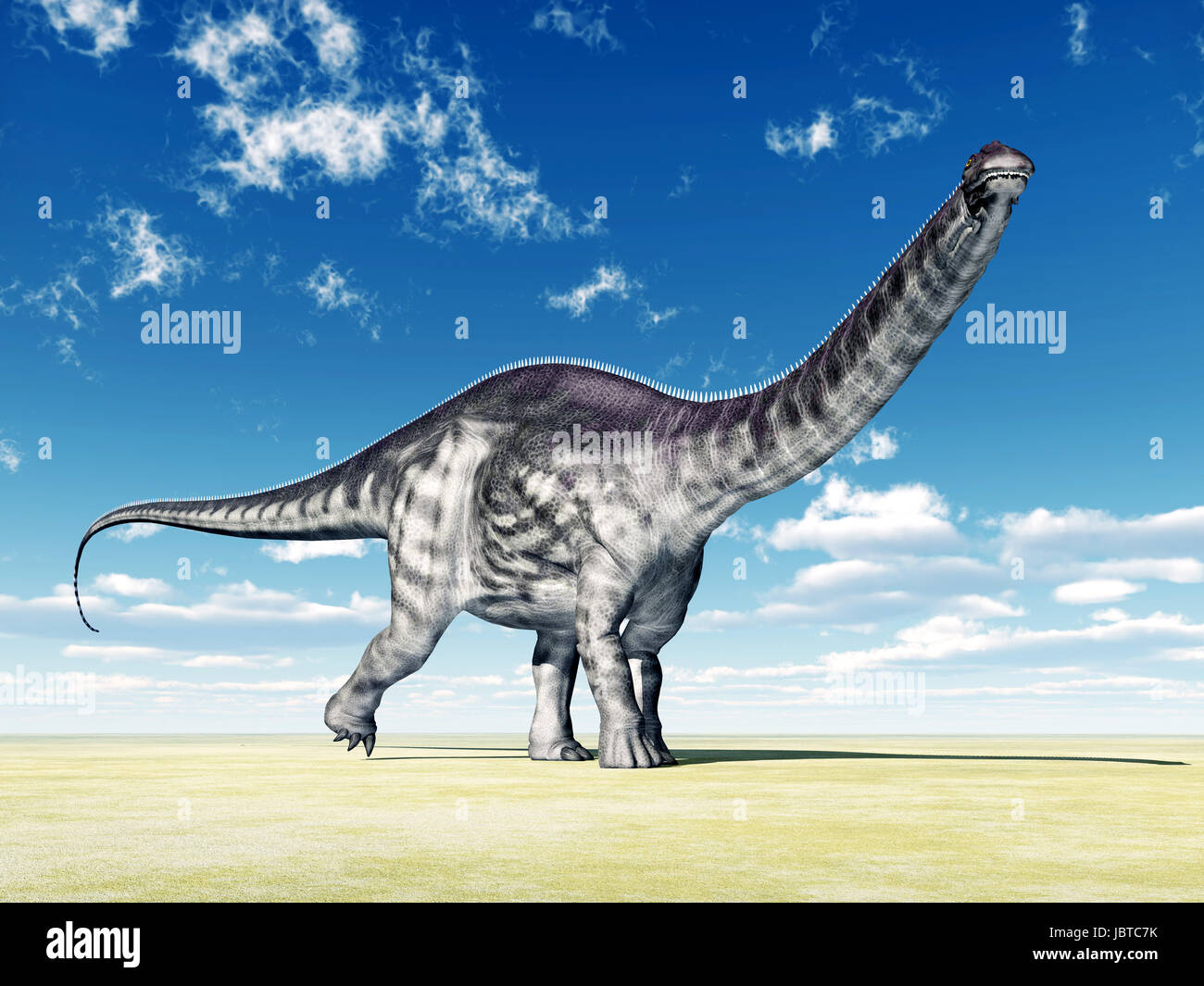 Apatosaurus hi-res stock photography and images - Alamy