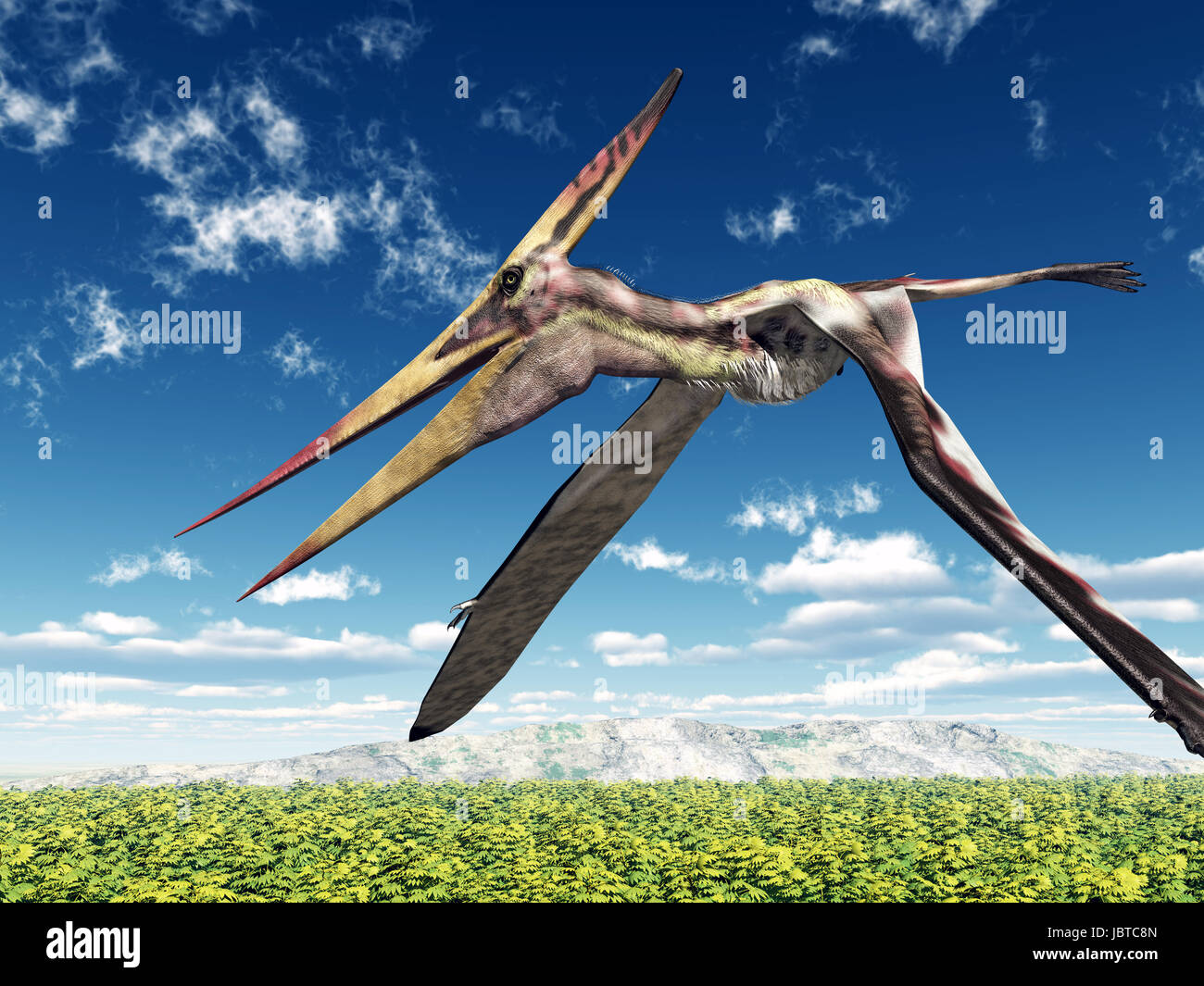 Pteranodon hi-res stock photography and images - Alamy