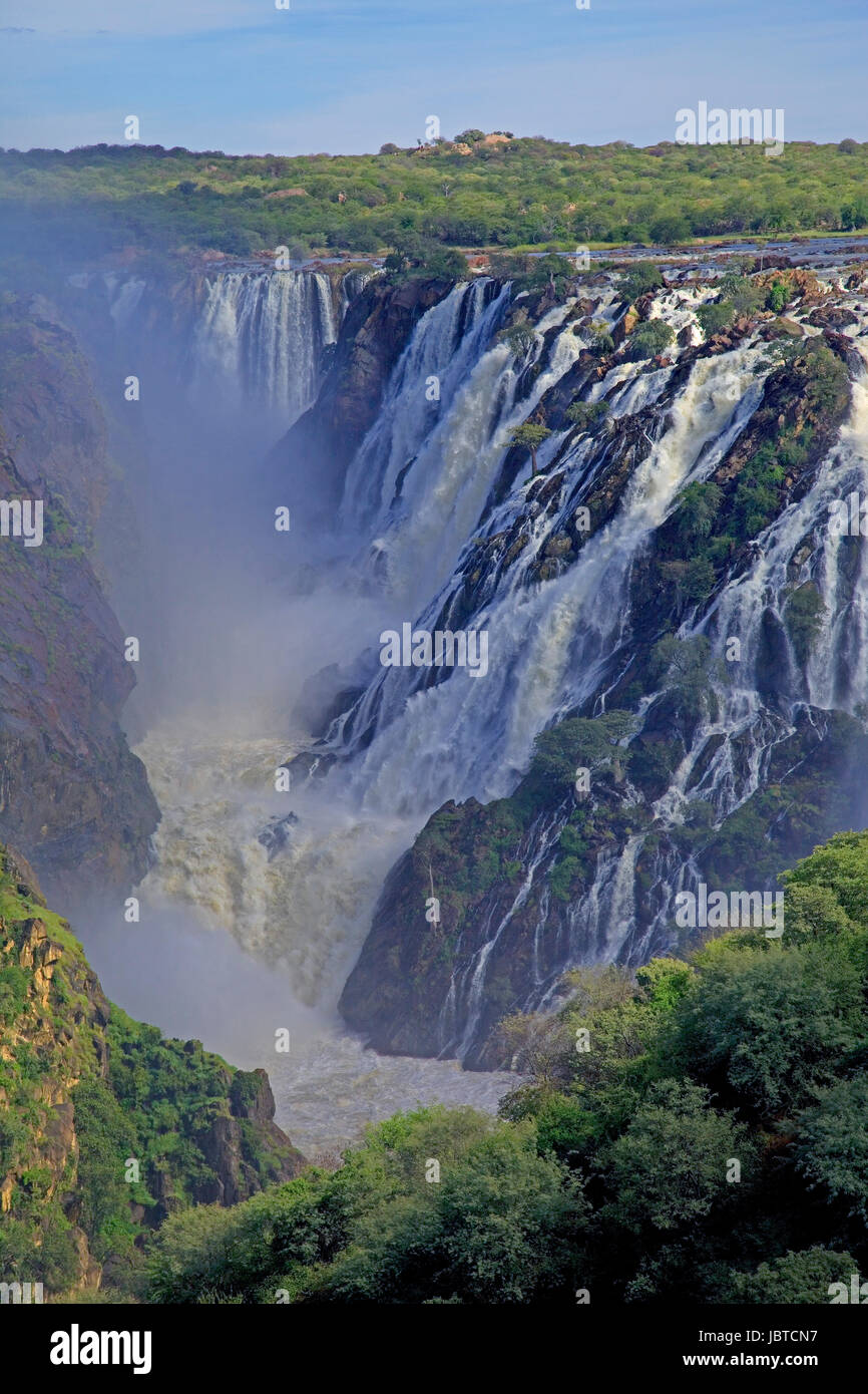 Namibia mopane tree hi-res stock photography and images - Alamy