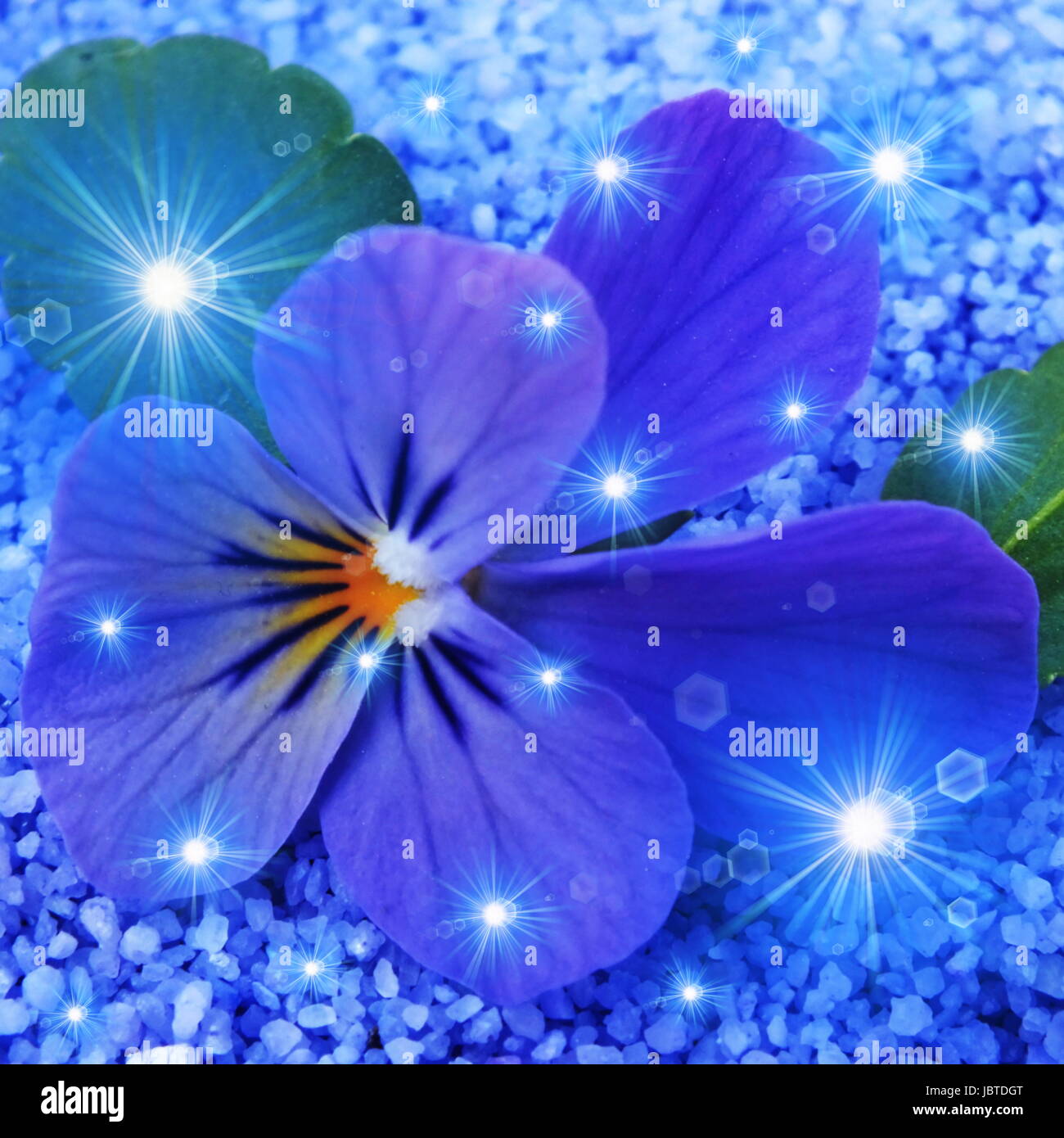 Color fine art hi-res stock photography and images - Alamy