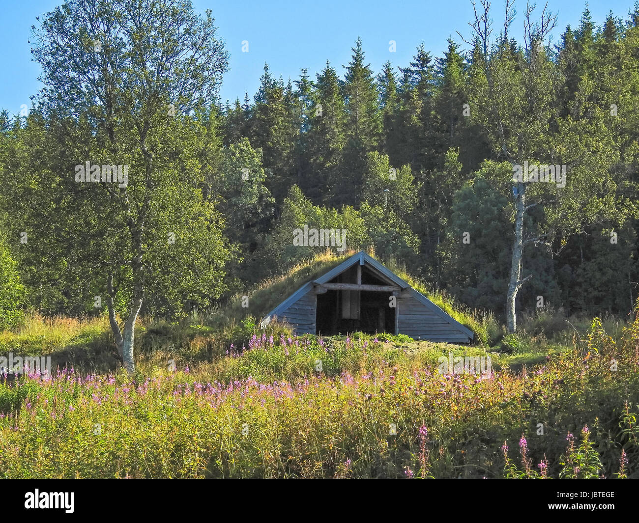 nordnorwegischer Sommer / summer in northern Norway Stock Photo - Alamy