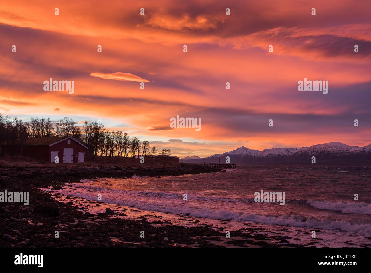 Arktische hi-res stock photography and images - Alamy