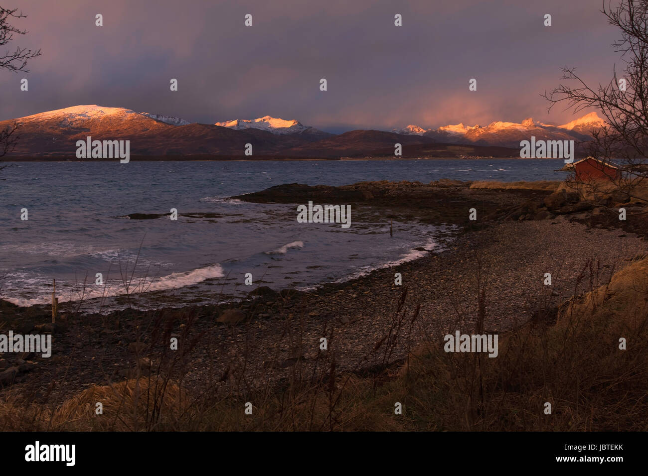 Arktischer hi-res stock photography and images - Alamy