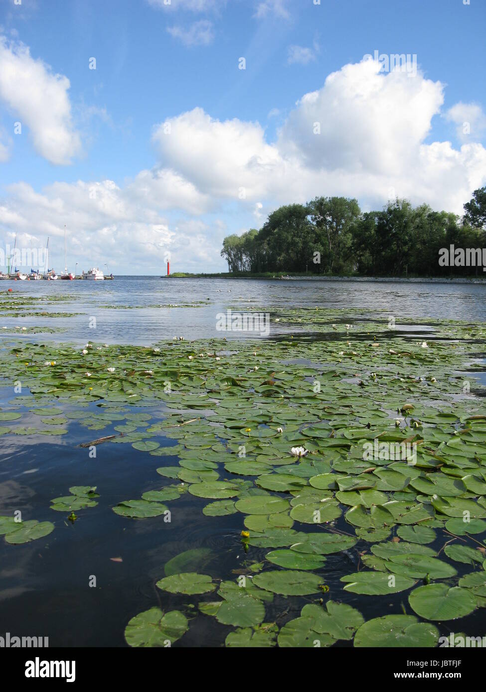 Wasserlandschaft am Stettiner Haff Stock Photo - Alamy
