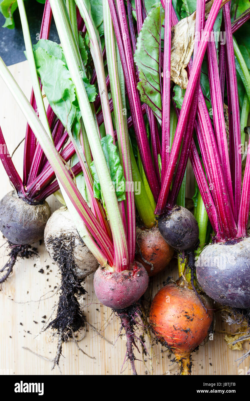Fresh from the vegetable plot hi-res stock photography and images - Alamy