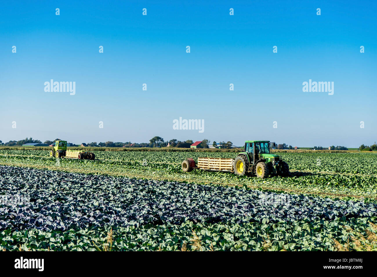 Kohlfelder hi-res stock photography and images - Alamy