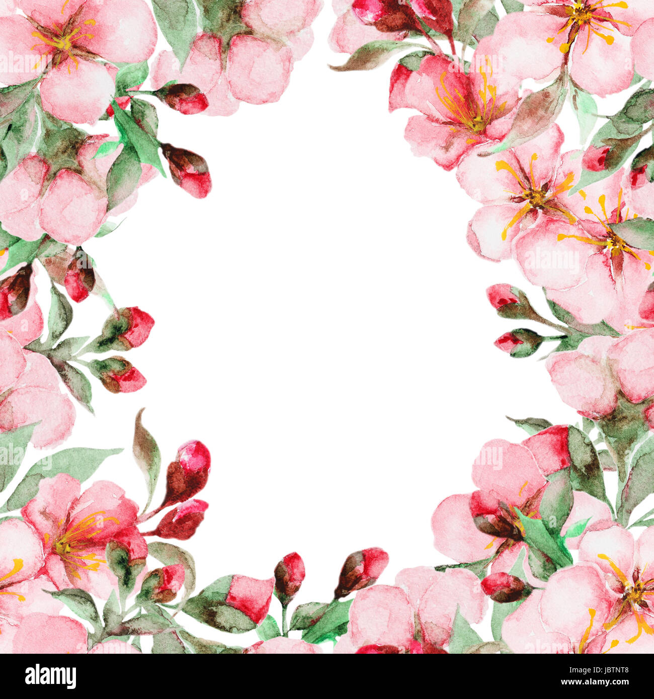 watercolor sakura flowers card Stock Photo - Alamy