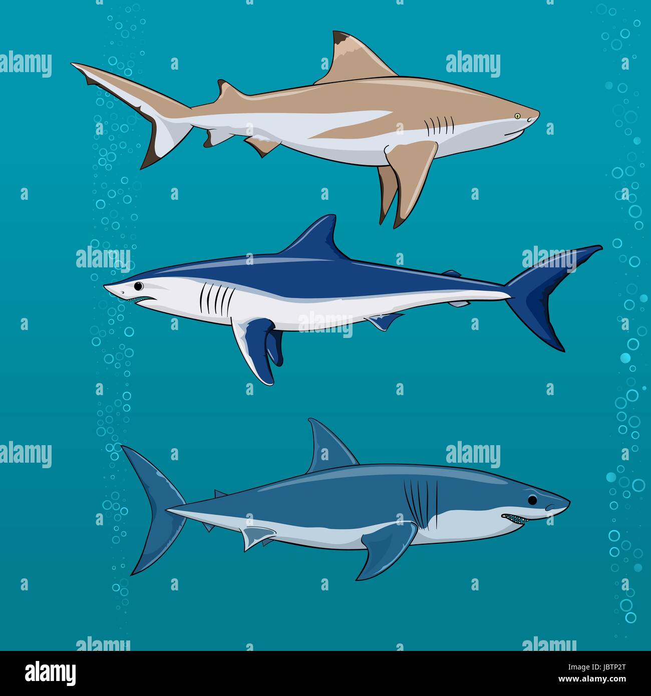 Pen and ink shark hi-res stock photography and images - Alamy