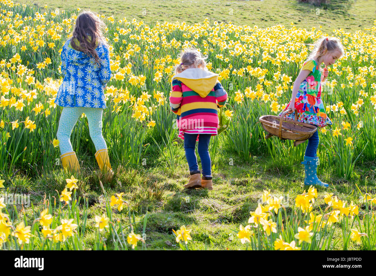 Children collecting eggs hi-res stock photography and images - Alamy