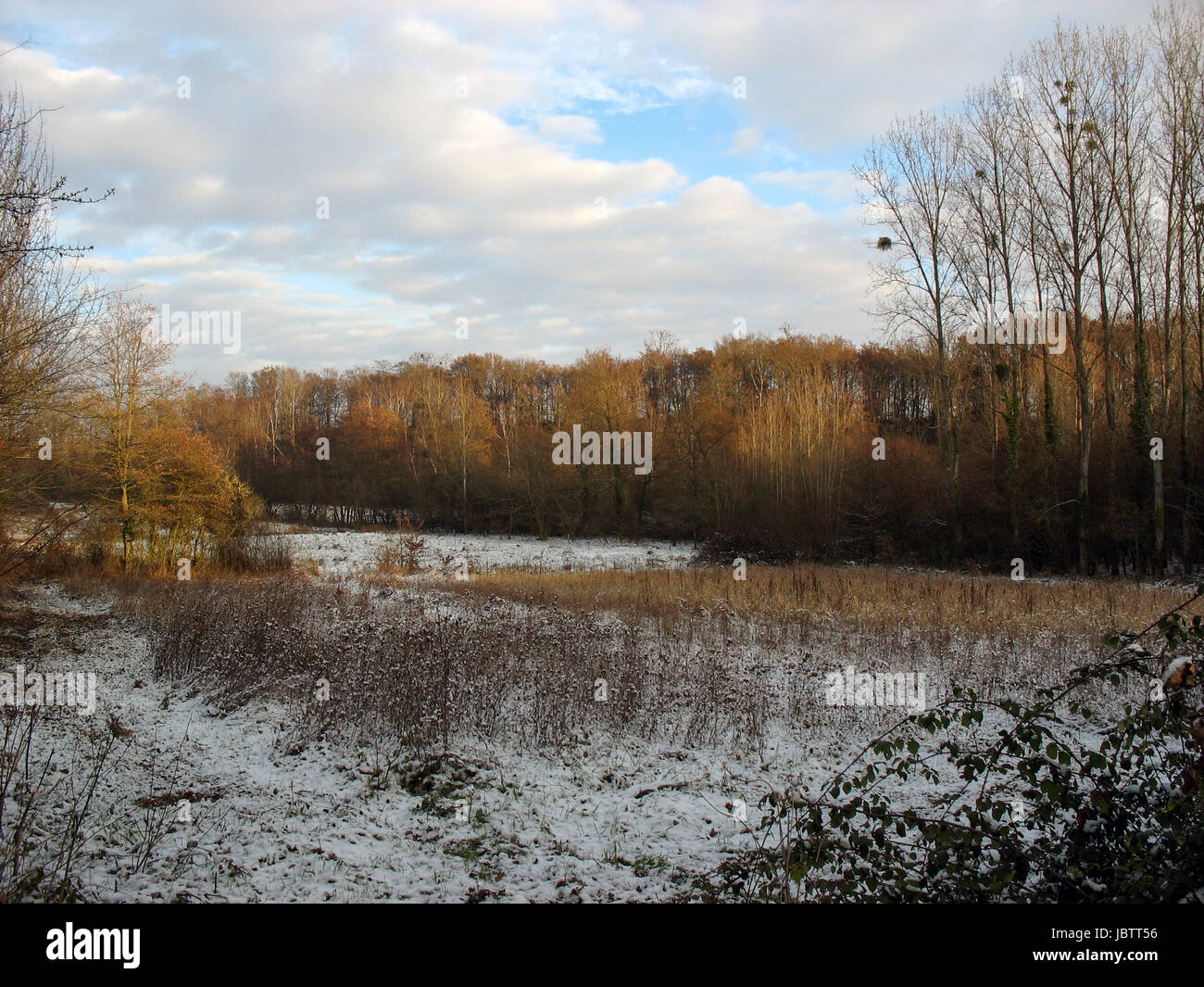 Snowed field and grey sky during winter in France Stock Photo - Alamy