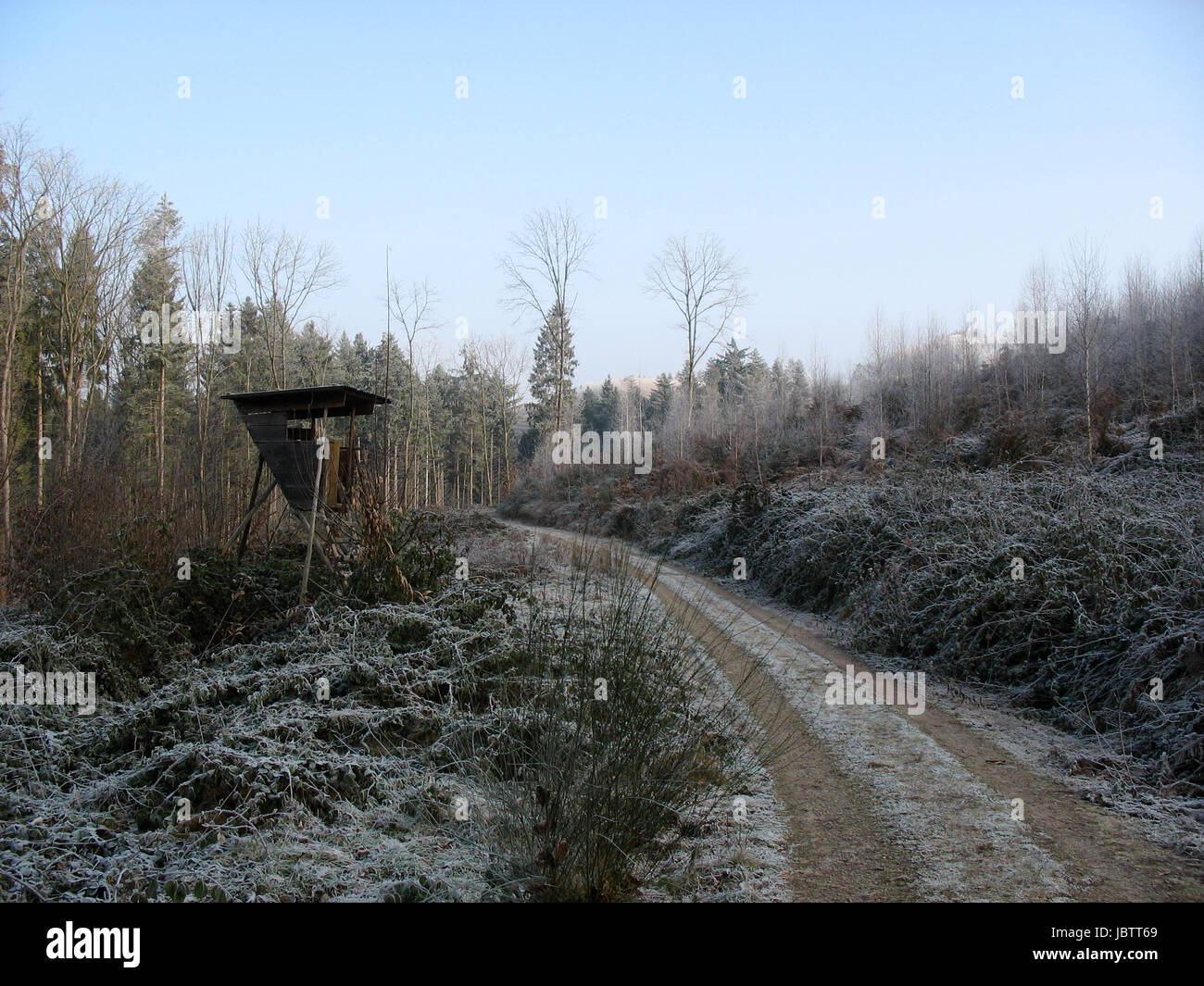 Woods and countryside during winter in the Black Forest in Germany ...