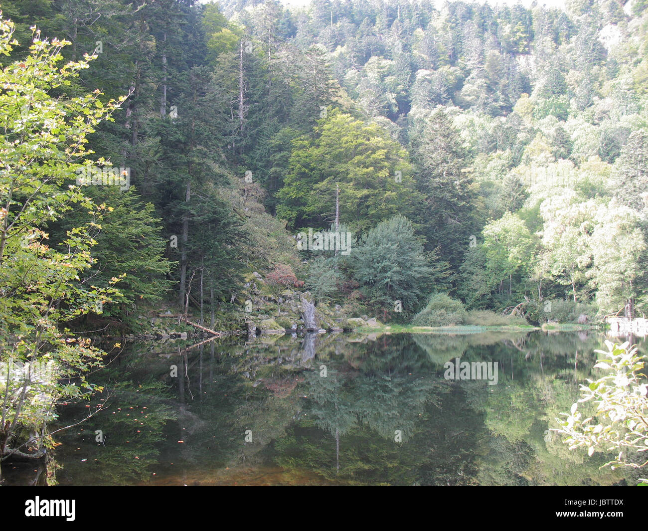 Looking-glass lake in the Vosges in France Stock Photo - Alamy