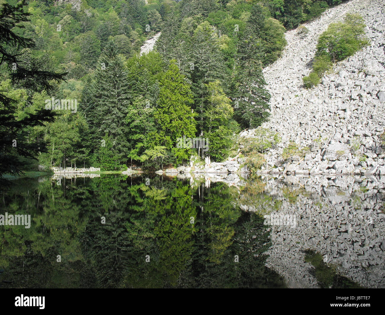 Looking-glass lake in the Vosges in France Stock Photo - Alamy