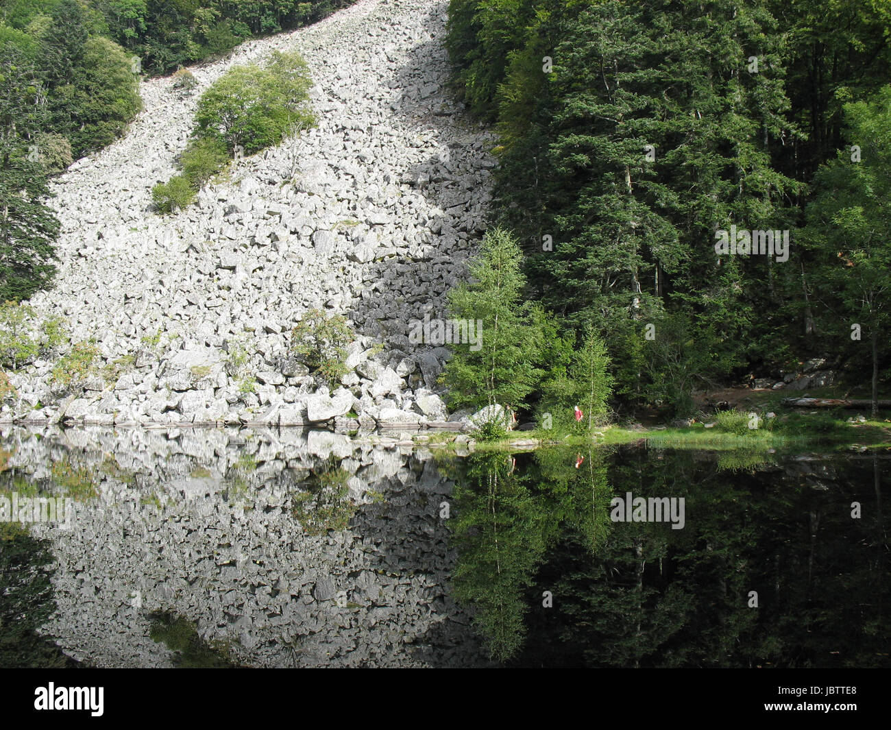 Looking-glass lake in the Vosges in France Stock Photo - Alamy