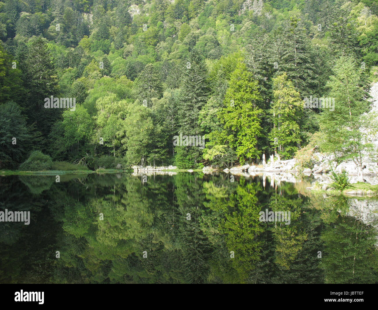 Looking-glass lake in the Vosges in France Stock Photo - Alamy