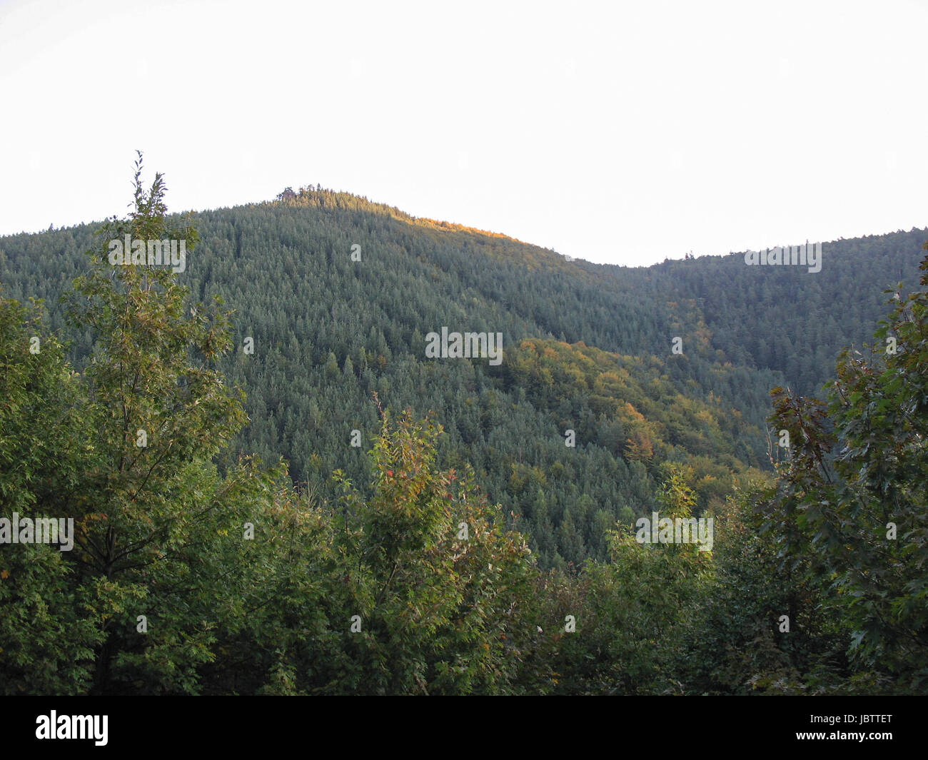 Sunrise over the Vosges mountains in Alsace in France Stock Photo - Alamy