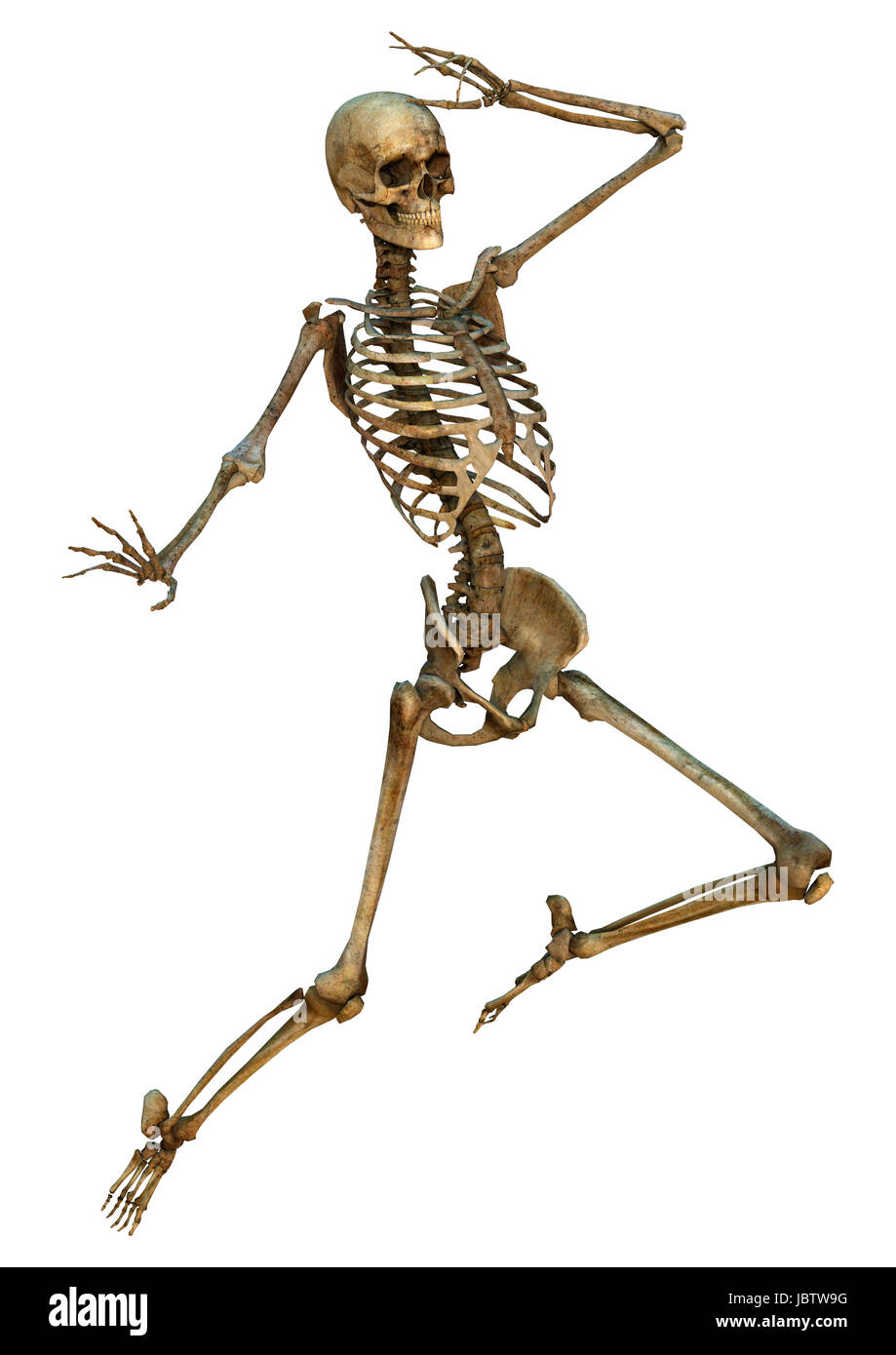 3D digital render of an old human skeleton isolated on white background ...