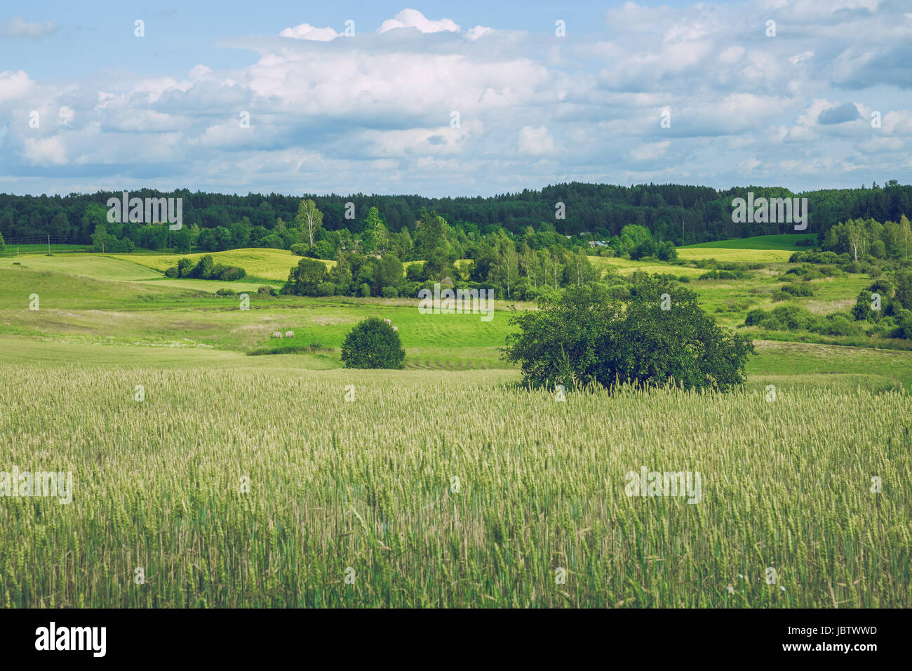 Tieme hi-res stock photography and images - Alamy