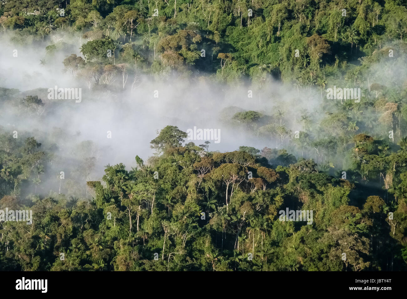 Mist over the forest hi-res stock photography and images - Alamy