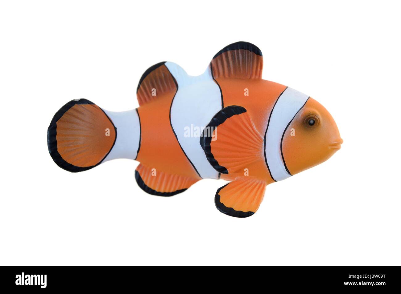 A close up shot of a Clown Fish Stock Photo - Alamy