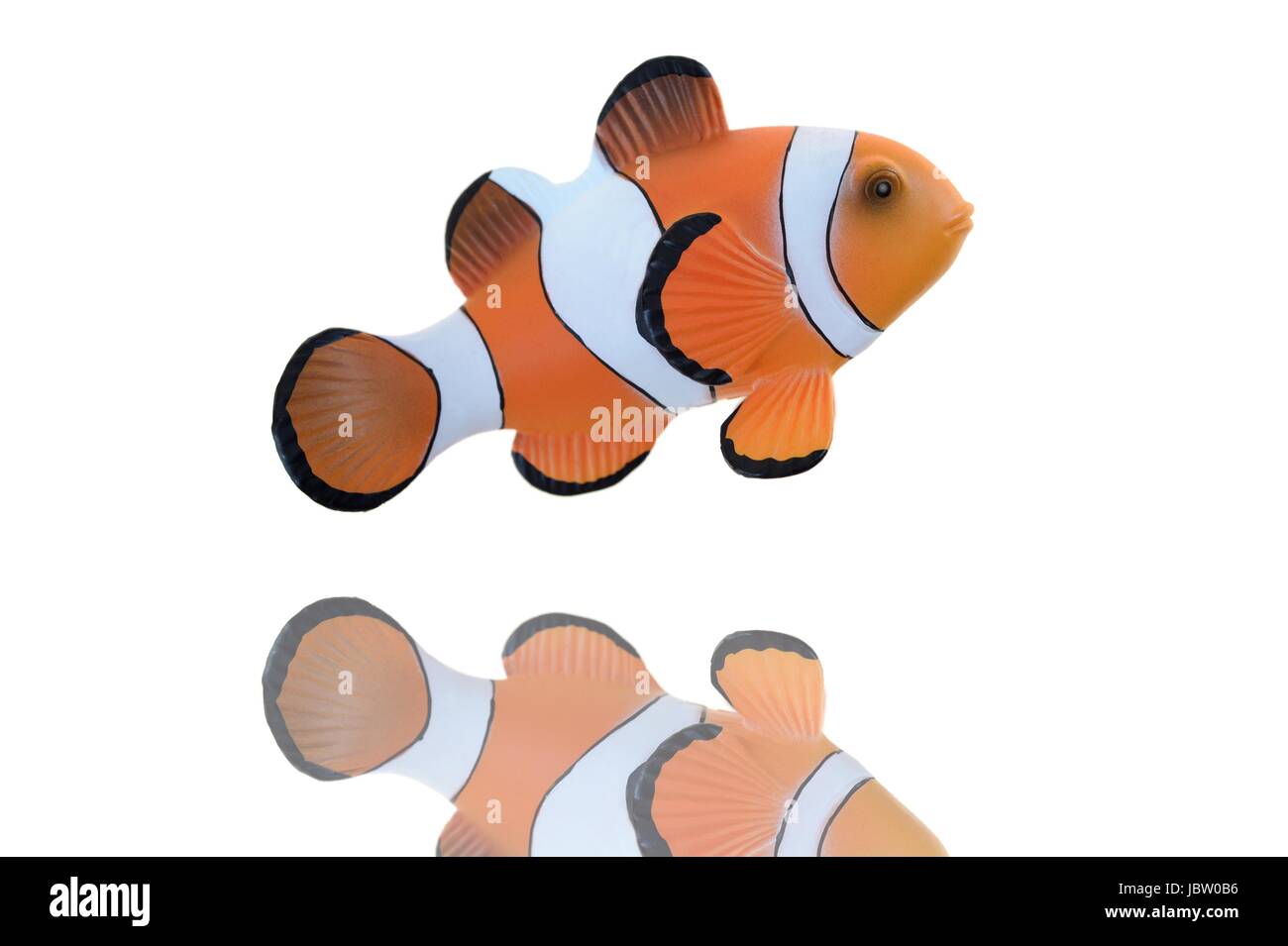 A close up shot of a Clown Fish Stock Photo - Alamy