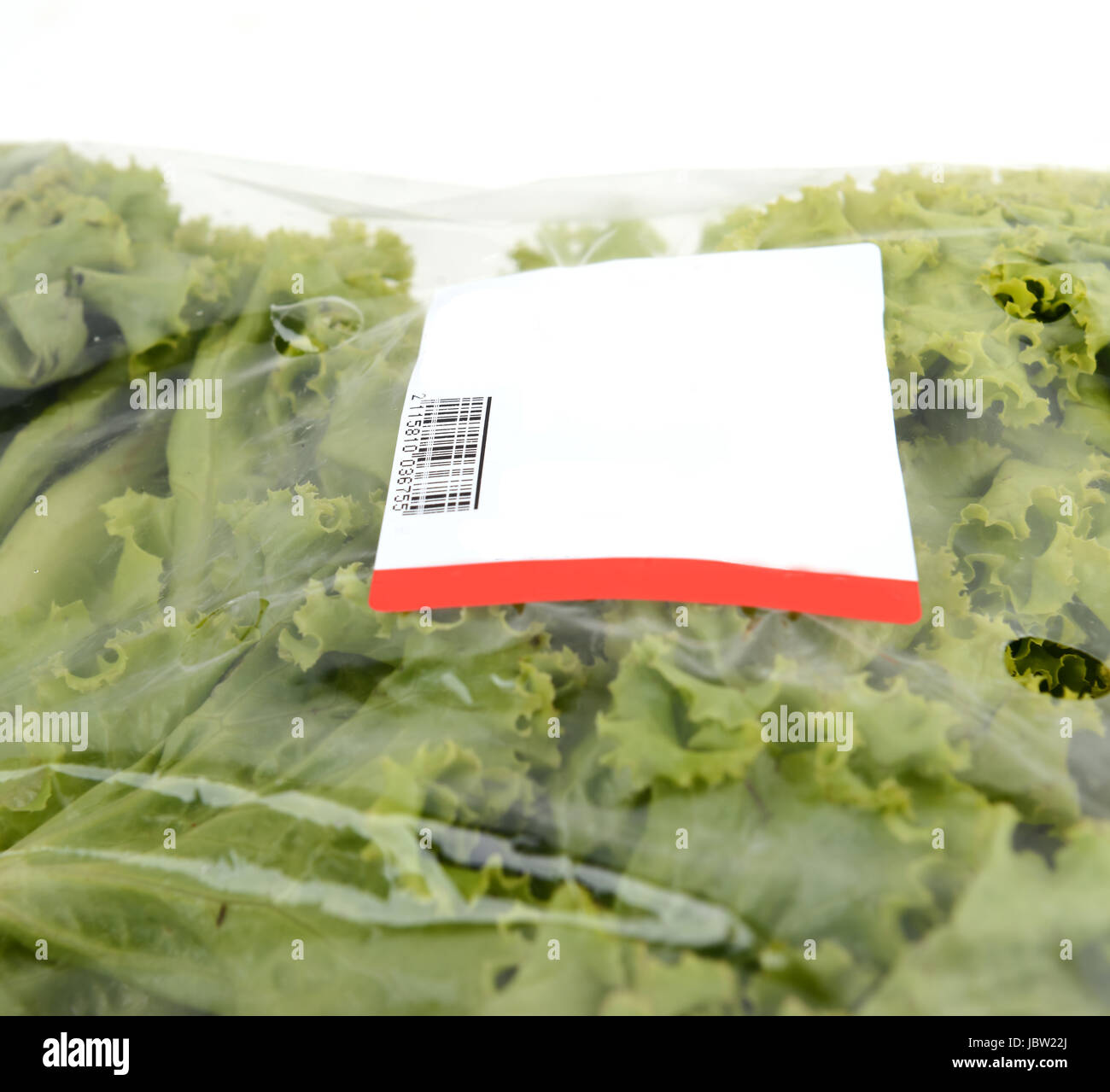 Iceberg lettuce bag hi-res stock photography and images - Alamy