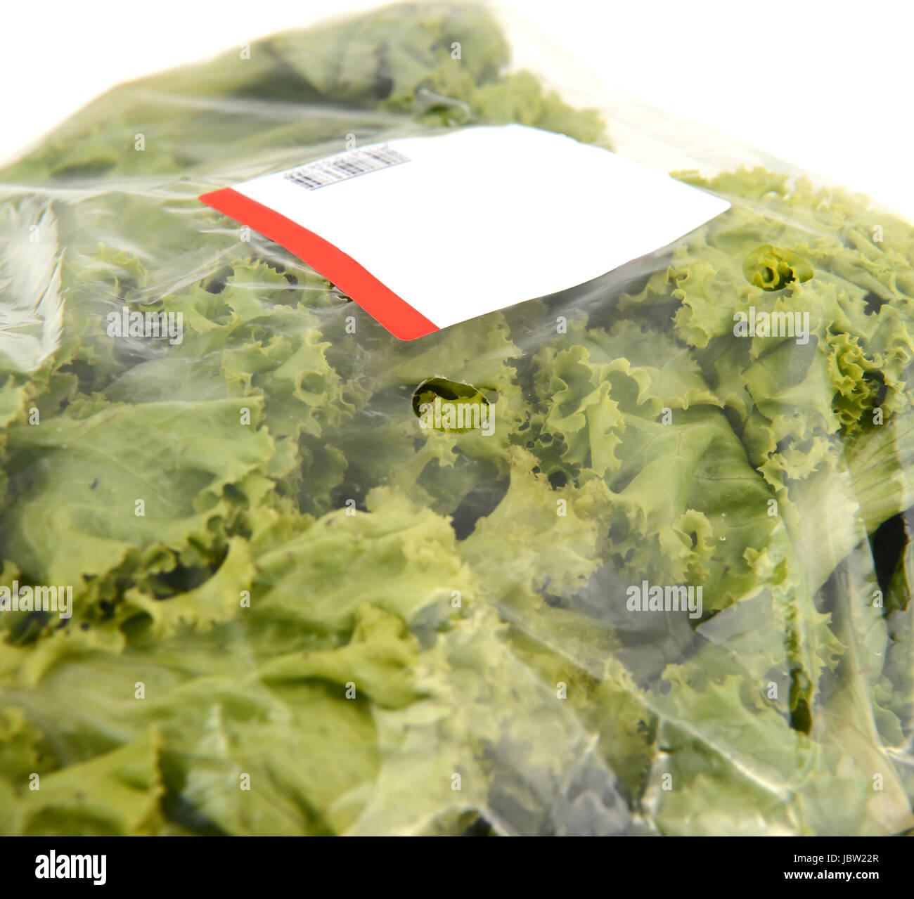 iceberg lettuce in plastic bag package with price tag Stock Photo - Alamy