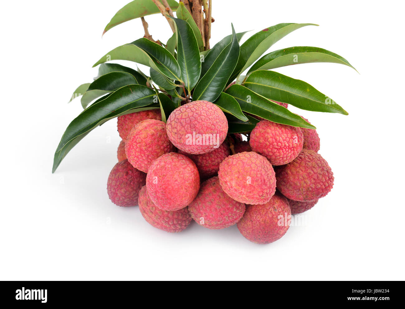 Fresh lychees isolated on white background Stock Photo - Alamy