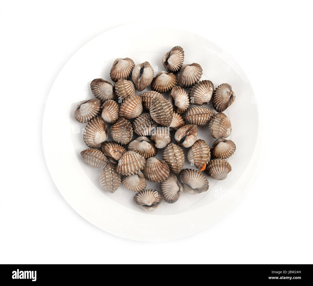 blood cockle cooked on a white dish Stock Photo - Alamy