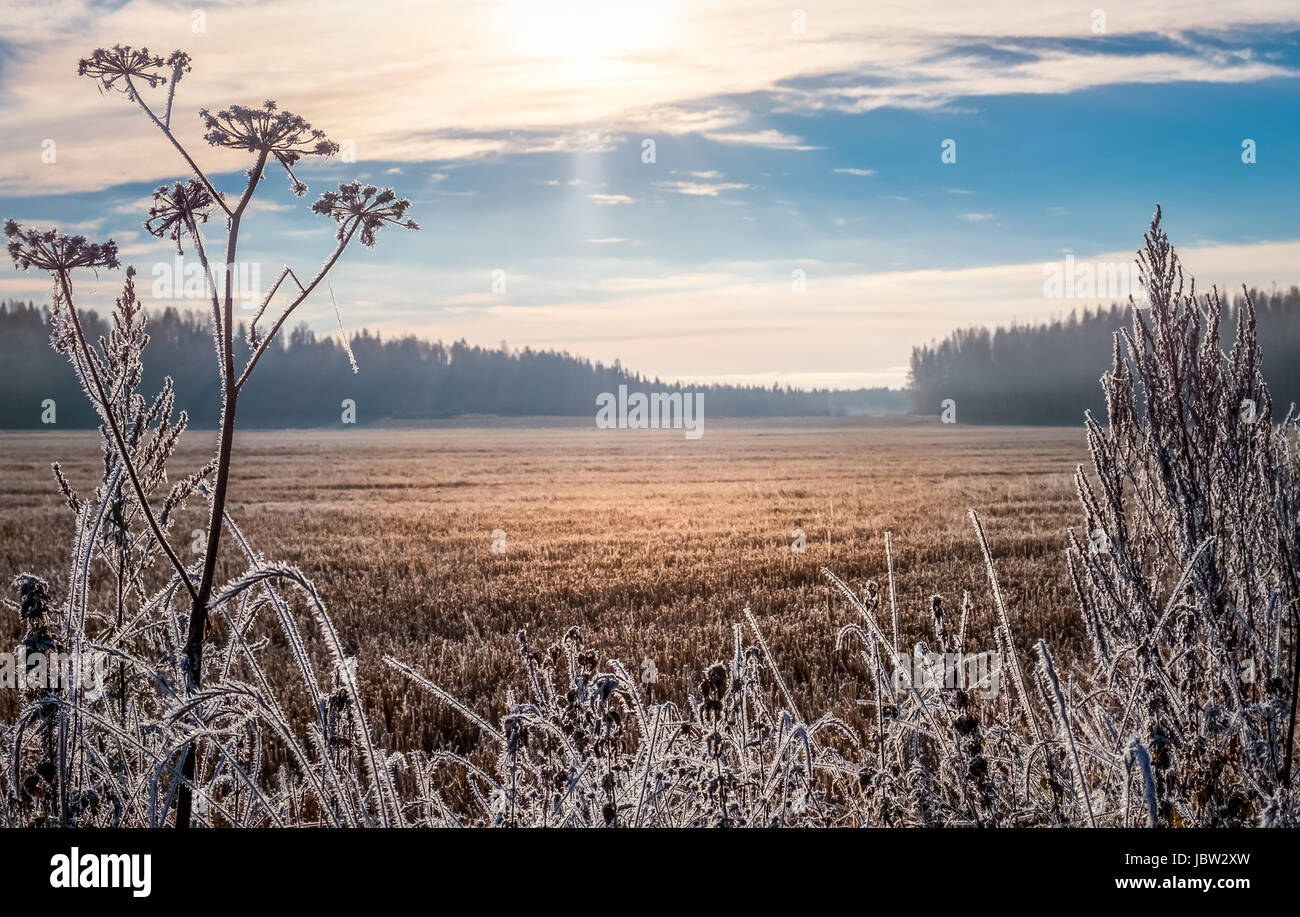 Scenic and bright landscape with sunrise at frosty autumn morning Stock ...