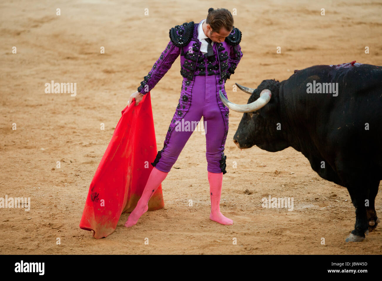 Matador fighting bull during bullfight hi-res stock photography and ...