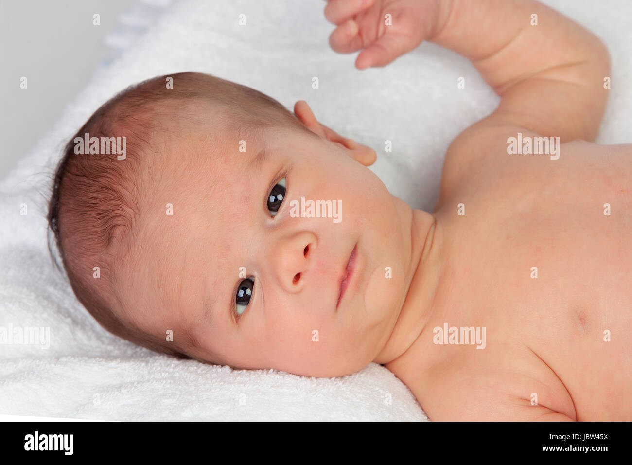 Adorable baby newborn isolated on a white background Stock Photo - Alamy