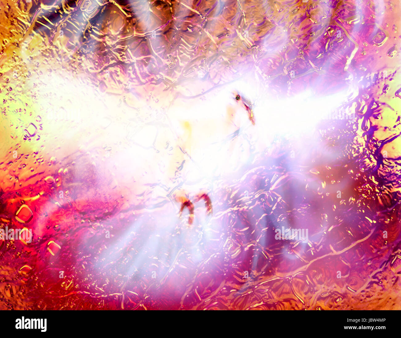Light Dove on abstract background. Glass effect Stock Photo - Alamy
