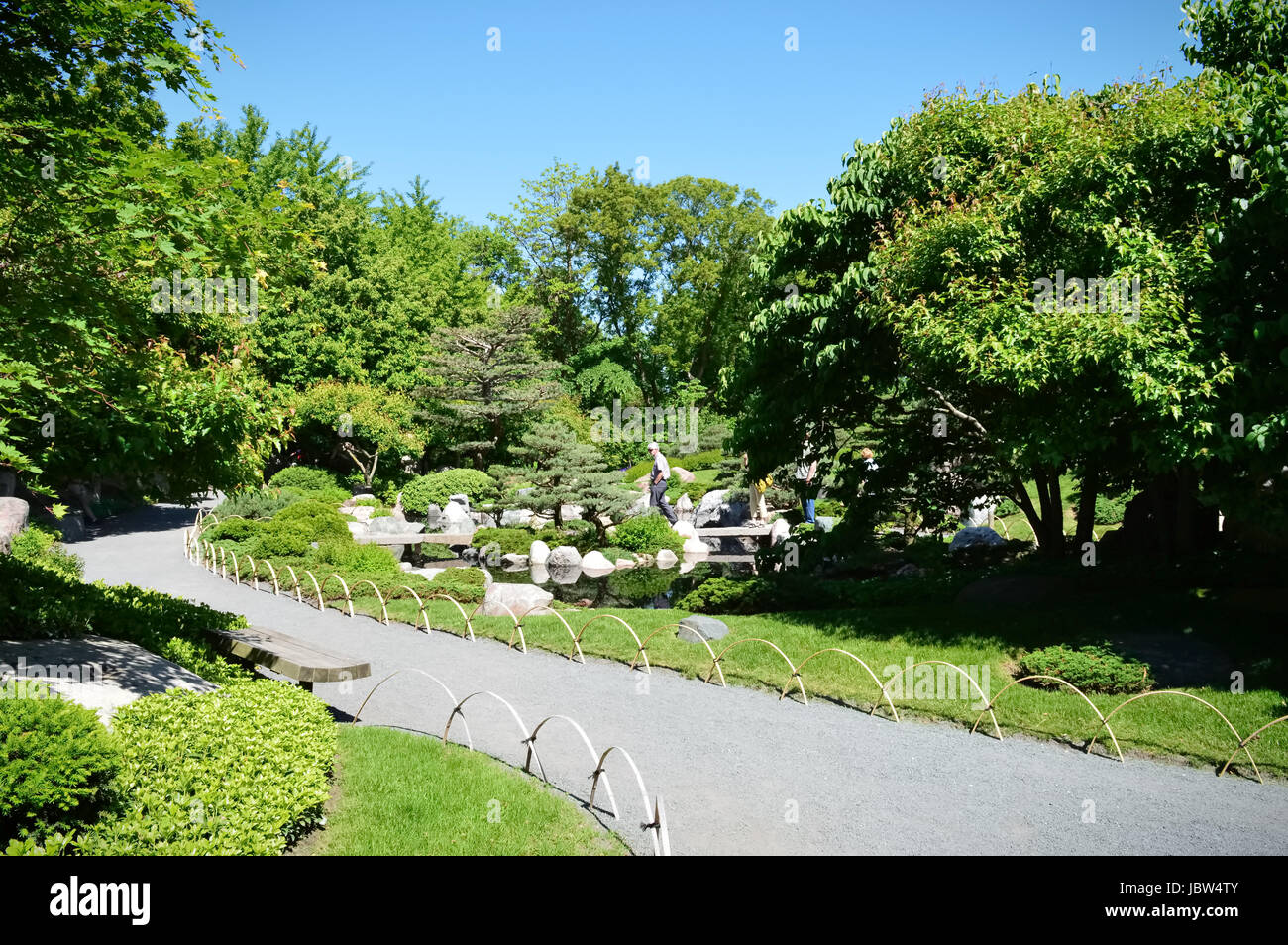 Japanese garden during the summer Stock Photo - Alamy